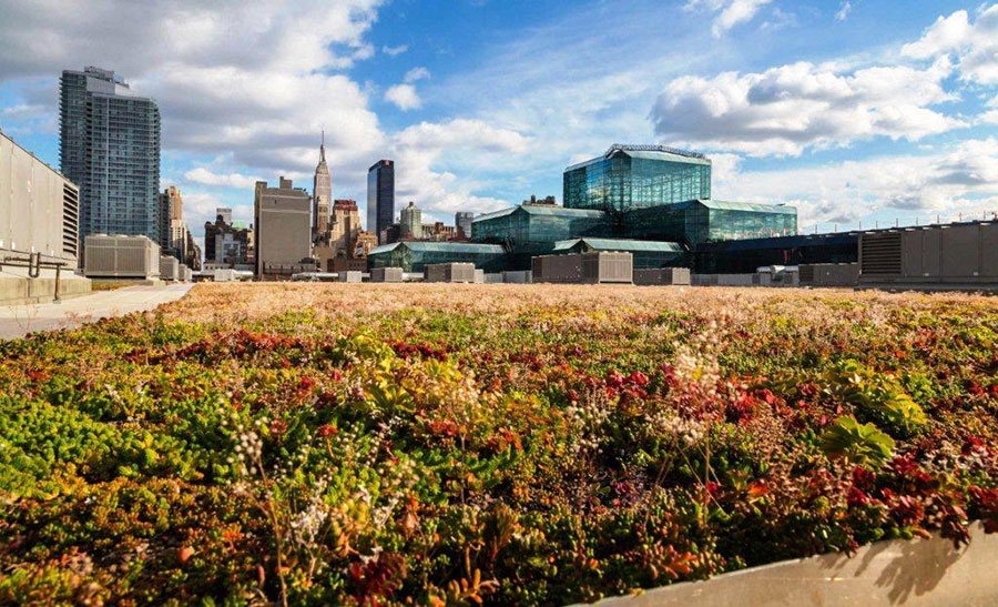 Big Convention Center Gets a Big Green Roof | WATERPROOF! Magazine