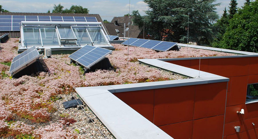 Integrating Green Roofs with Solar | WATERPROOF! Magazine