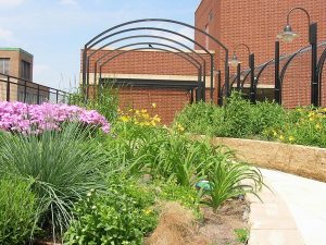 Green Roof as a Retrofit Option | WATERPROOF! Magazine