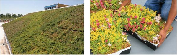 Sloped Green Roofs | WATERPROOF! Magazine