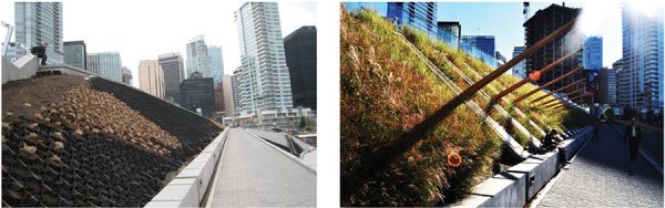 Sloped Green Roofs | WATERPROOF! Magazine