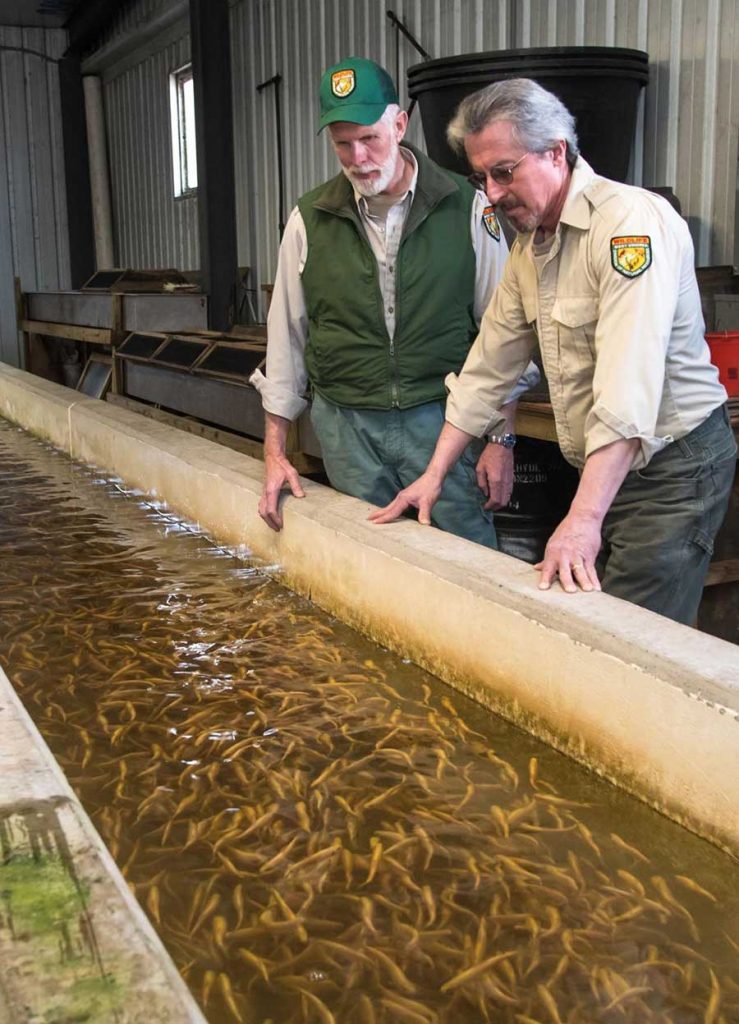 Rehabilitating Reeds Creek Fish Hatchery | WATERPROOF! Magazine