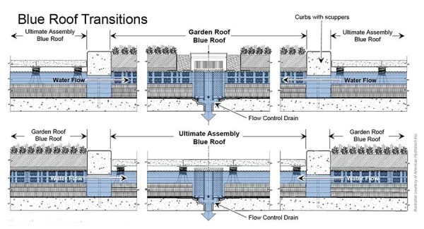 Managing Weight & Water In a Green Roof | WATERPROOF! Magazine