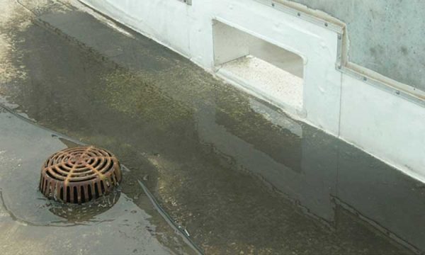 Commercial Roof Drains and Drainage Systems | WATERPROOF! Magazine