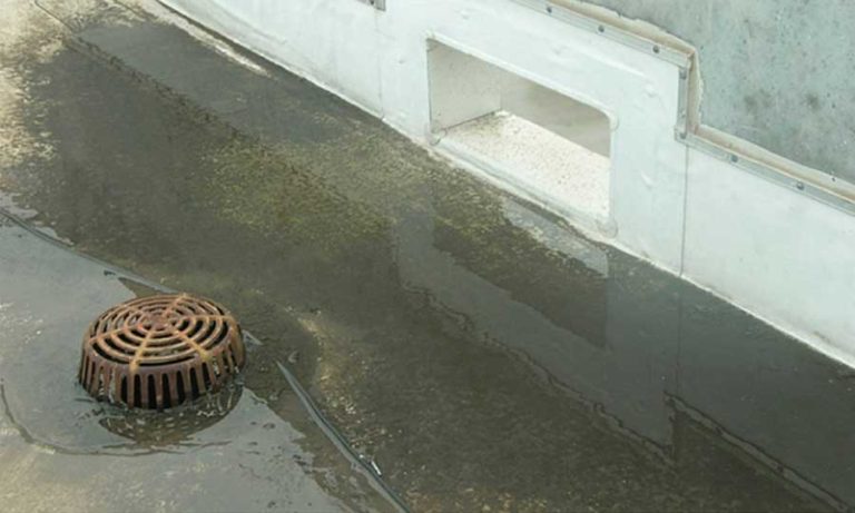 Commercial Roof Drains and Drainage Systems | WATERPROOF! Magazine