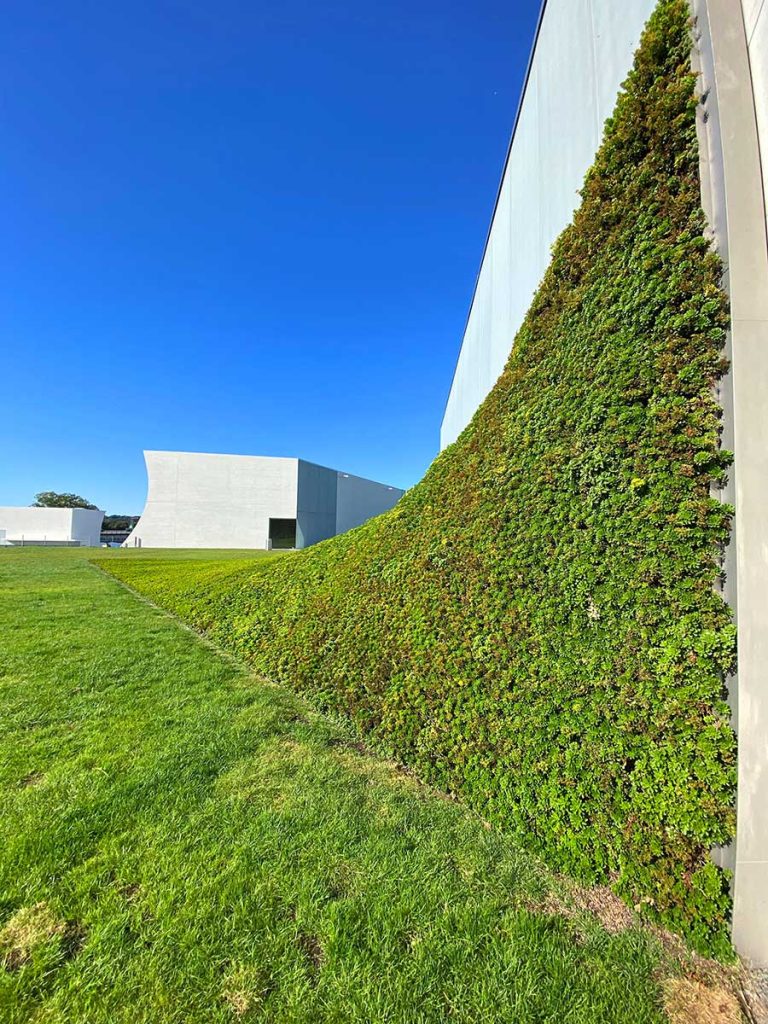 Pushing the Envelope: Steeply Sloped Green Roofs | WATERPROOF! Magazine
